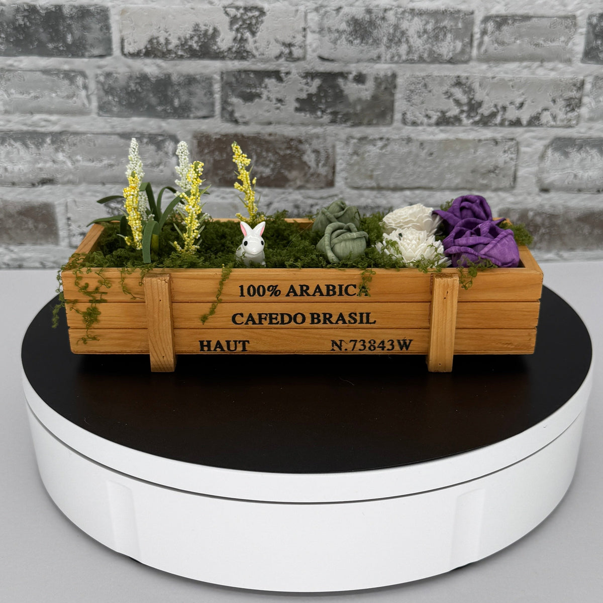 Mini Coffee Crate Garden - Bunny Feast - Desk Gardening — Miracle Bay Studios